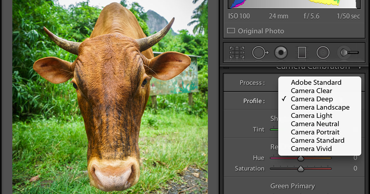 Wednesday Gearday: How to Apply Sony Creative Styles in Lightroom
