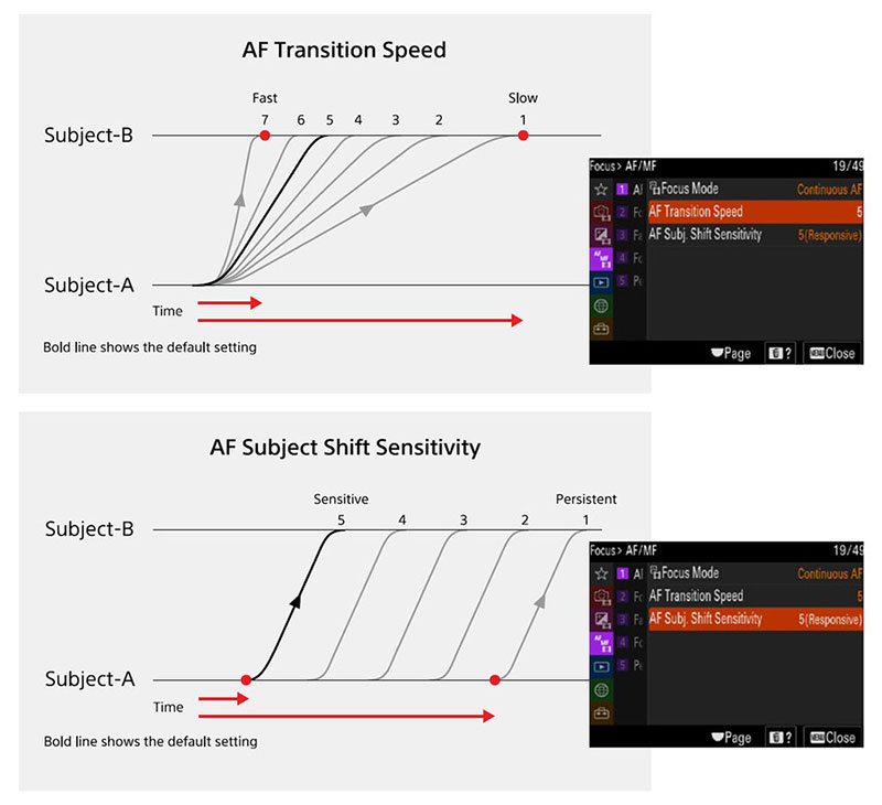 What You Want to Know About the New Sony a7S III